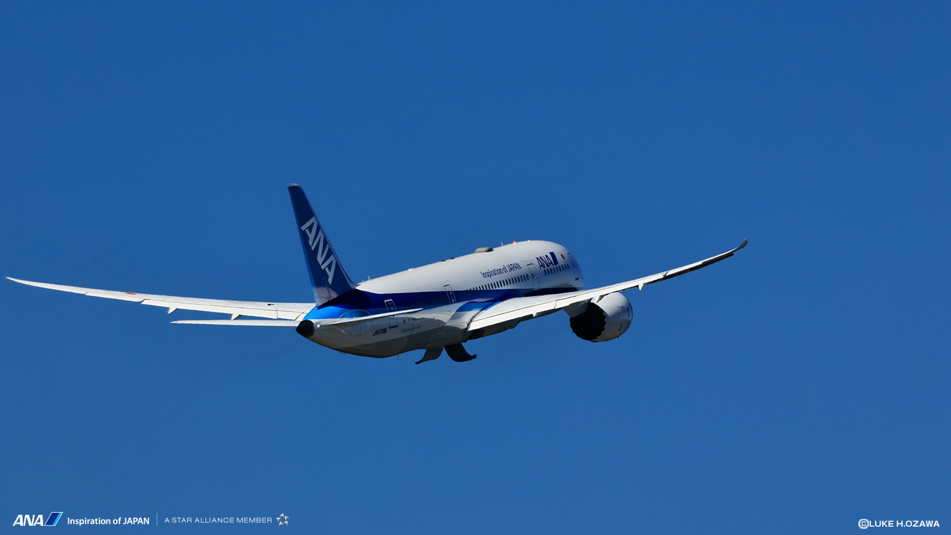 Download Wallpapers|ANA