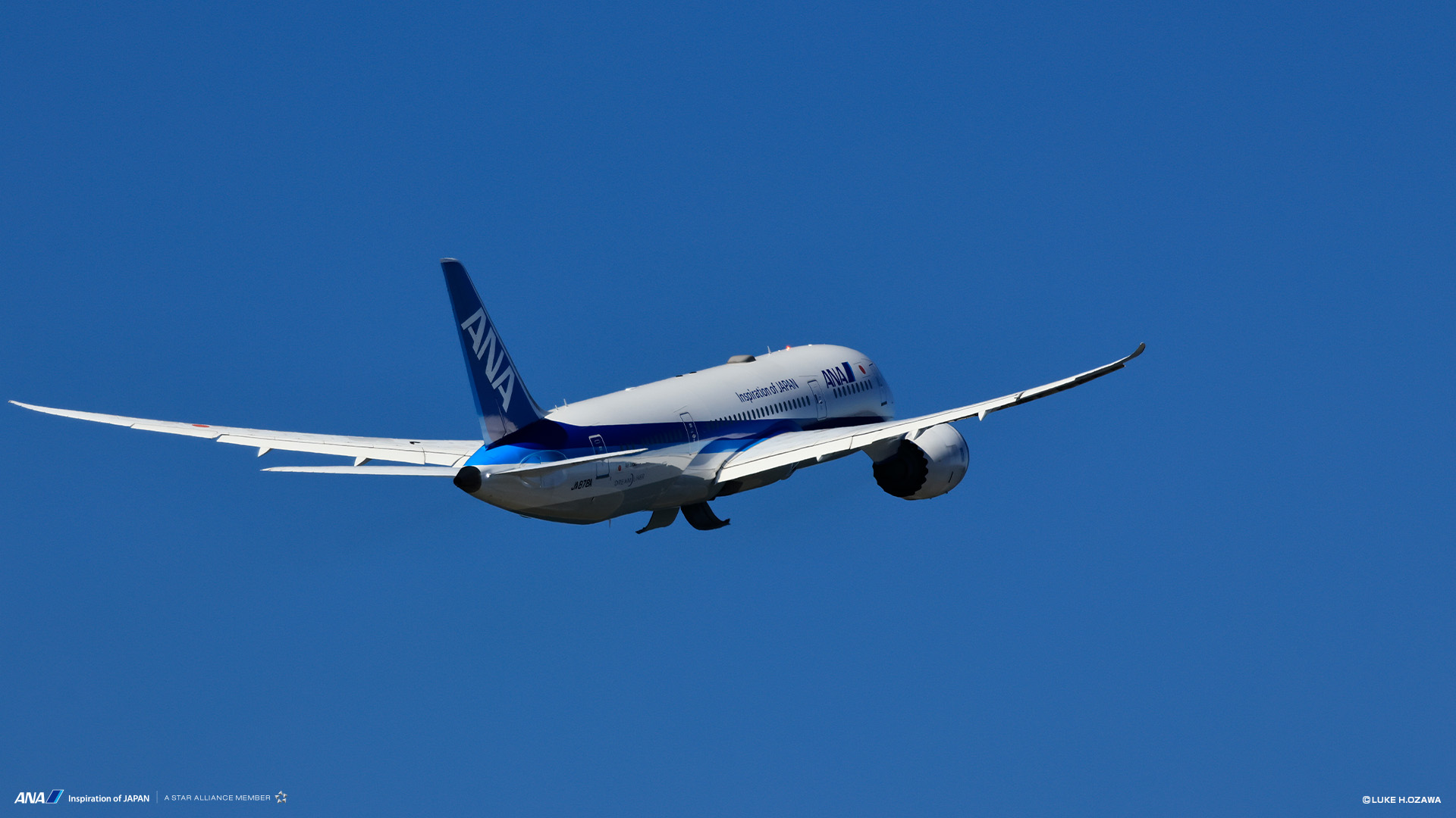 Download Wallpapers|ANA