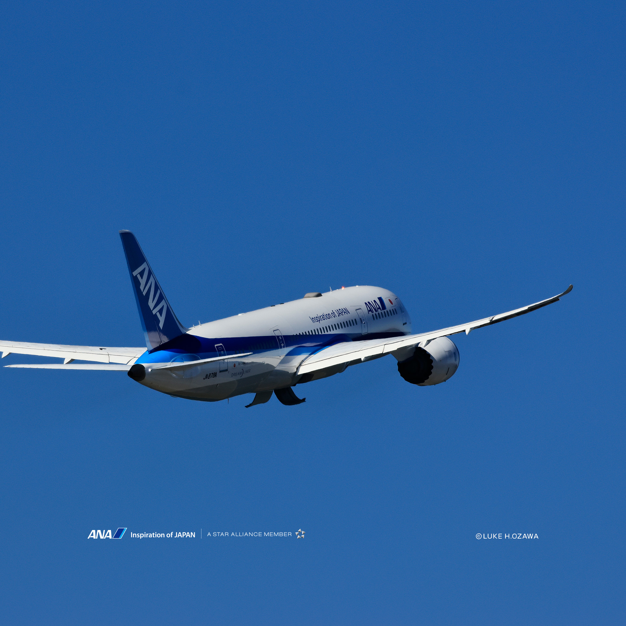 Download Wallpapers|ANA