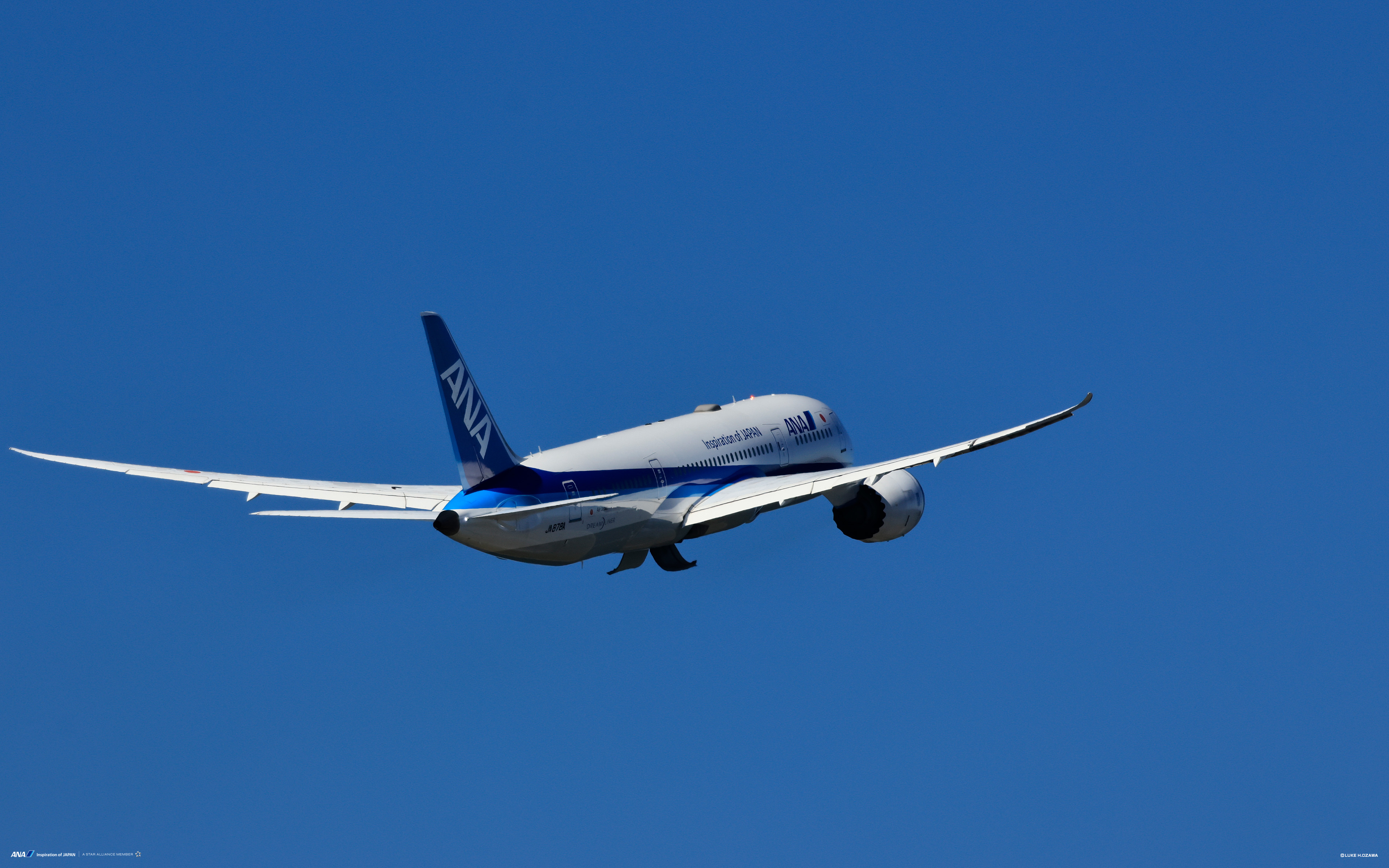 Download Wallpapers|ANA