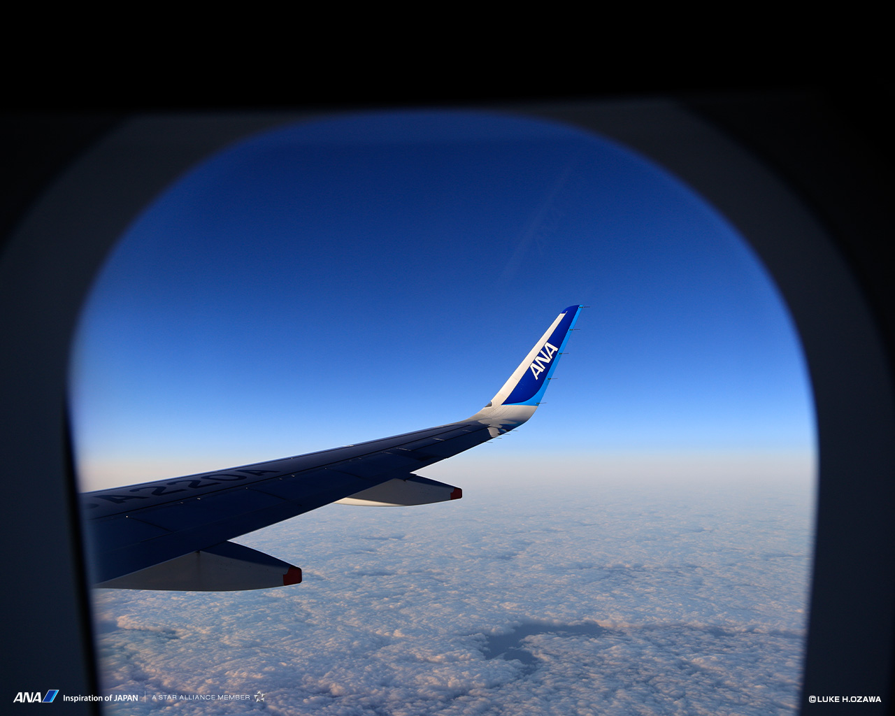 Download Wallpapers|ANA