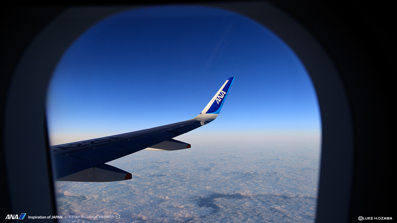 Download Wallpapers|ANA