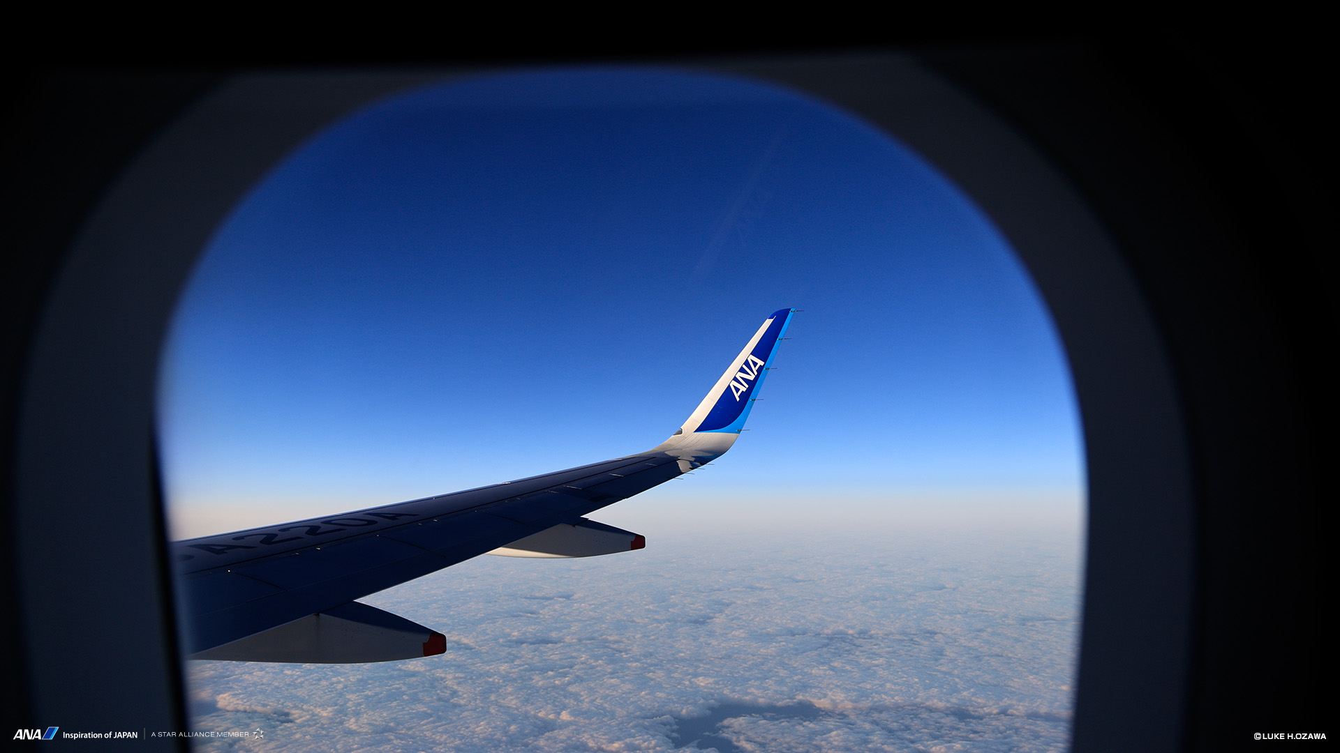 Download Wallpapers|ANA