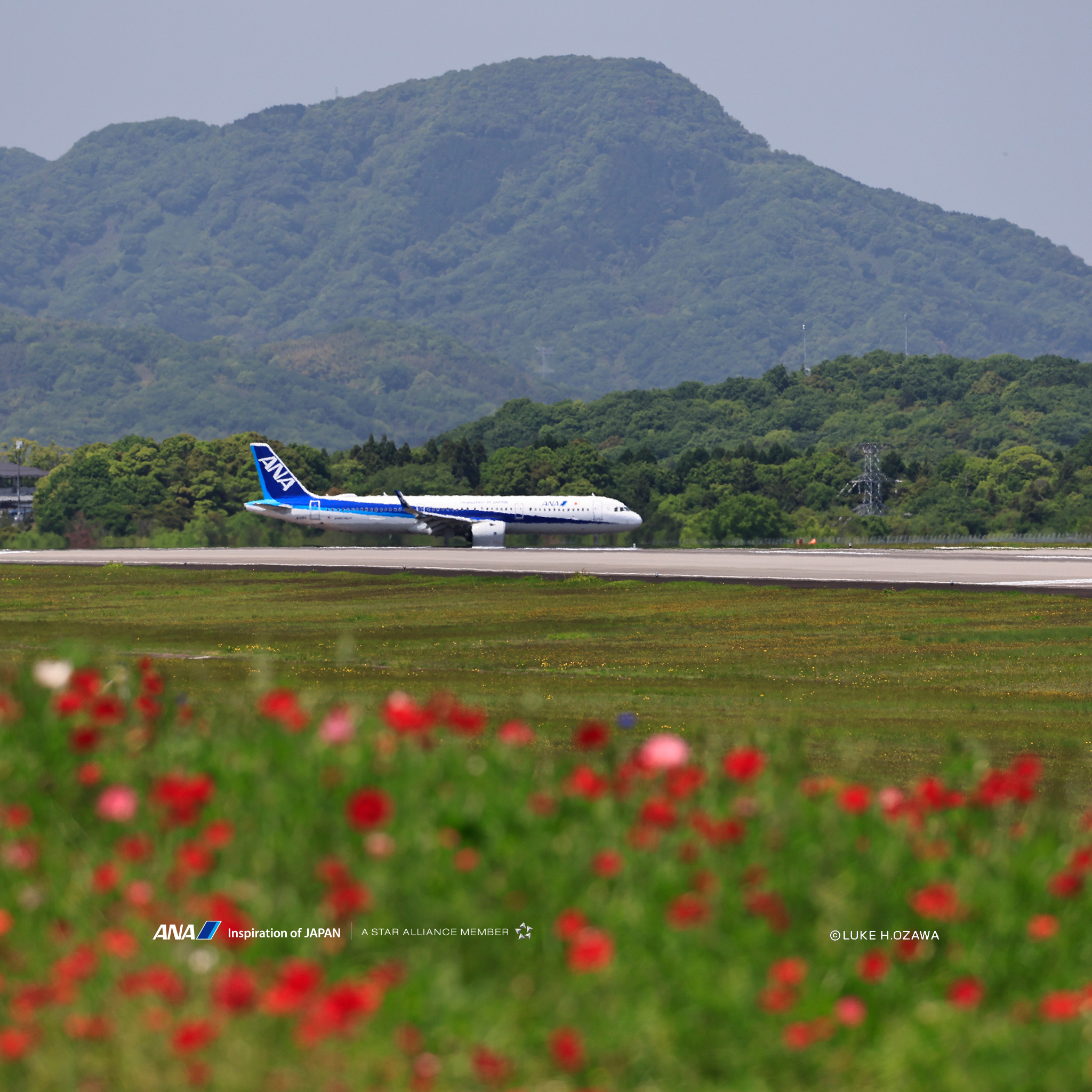 ANA Original Wallpaper | Download Wallpapers | Other | The ANA ...