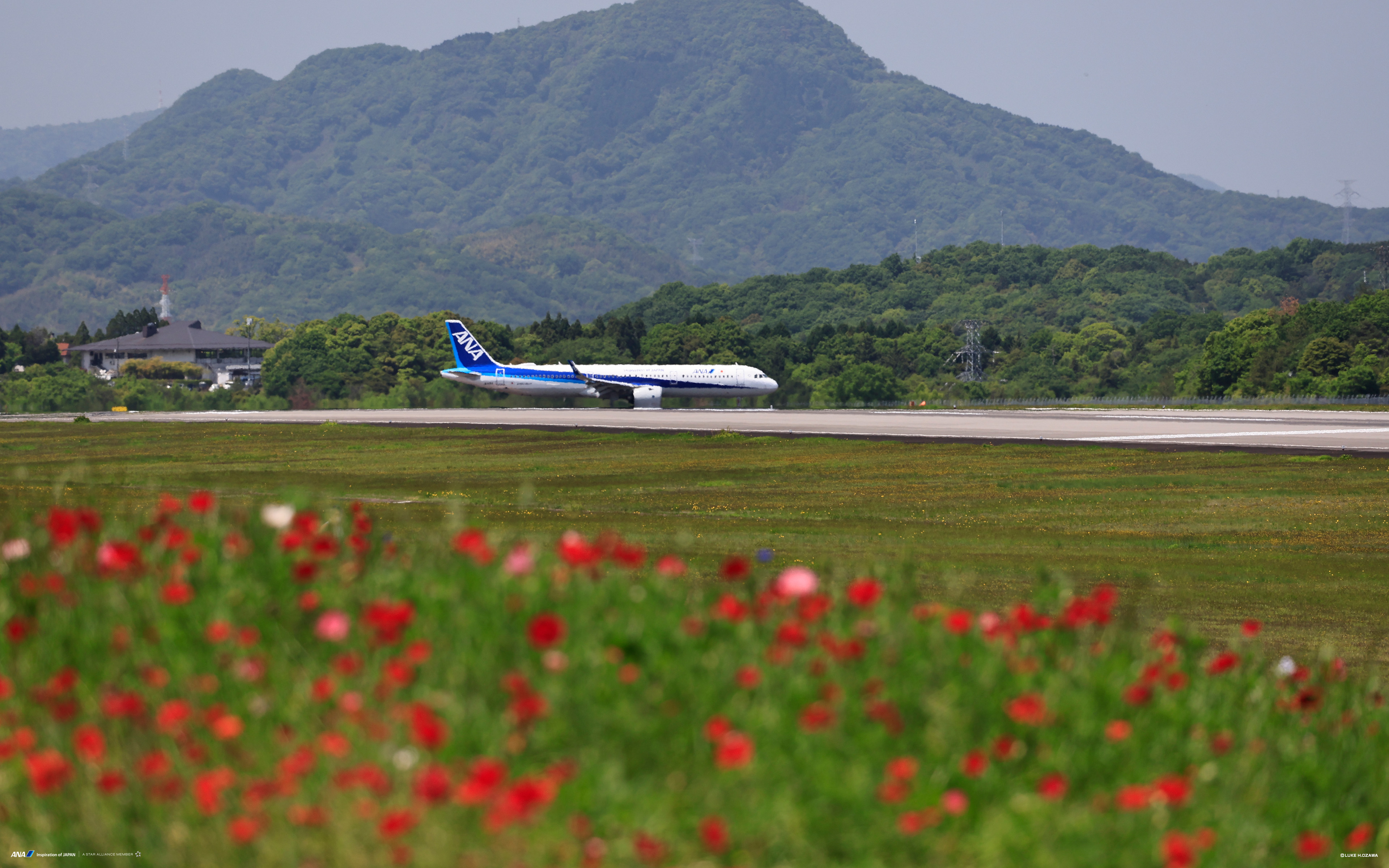 ANA Original Wallpaper | Download Wallpapers | Other | The ANA ...