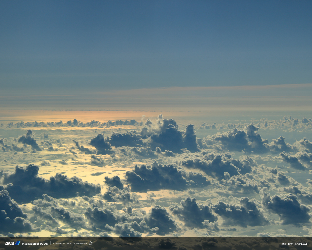 ANA Original Wallpaper | Download Wallpapers | Other | The ANA ...