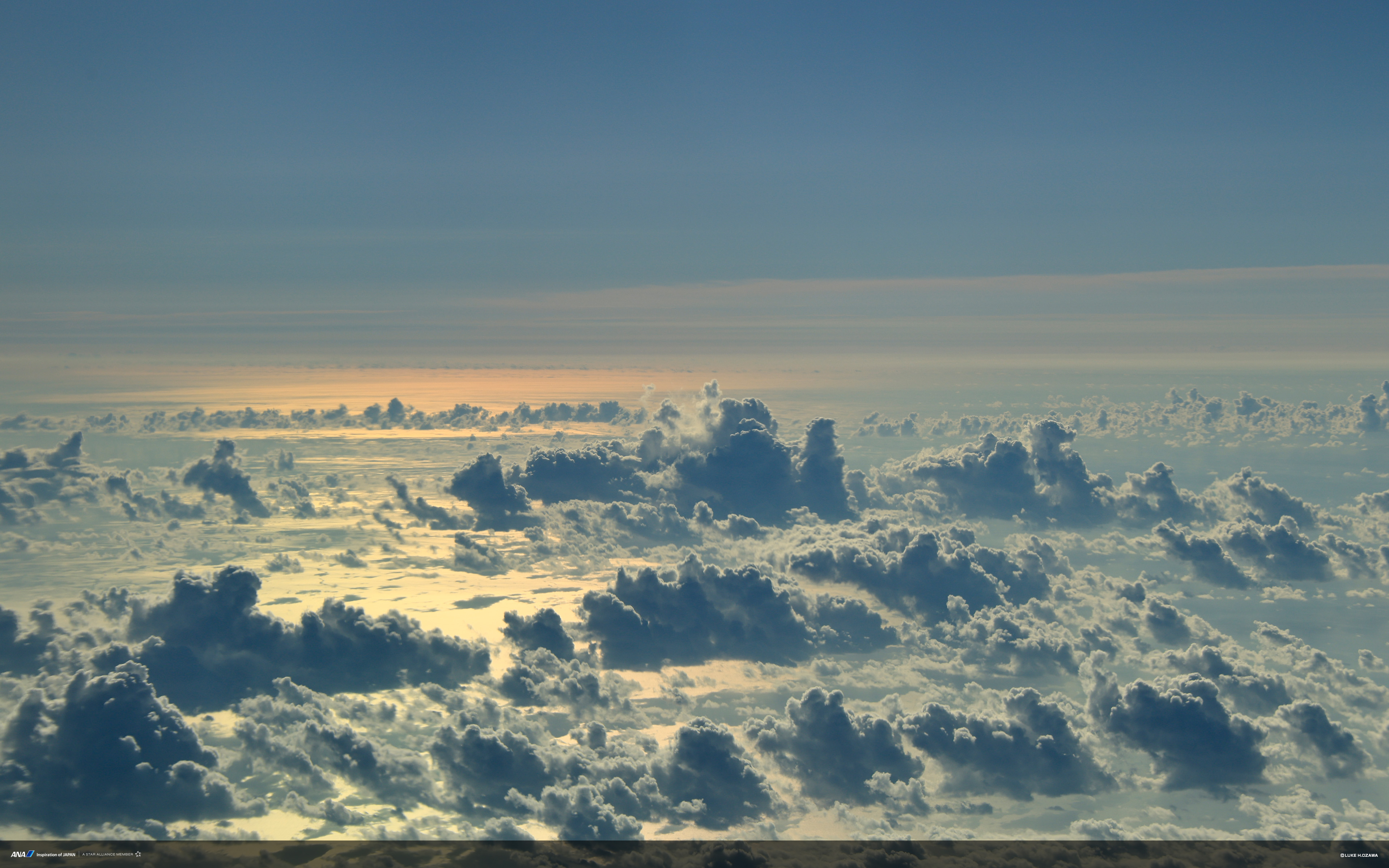 ANA Original Wallpaper | Download Wallpapers | Other | The ANA ...