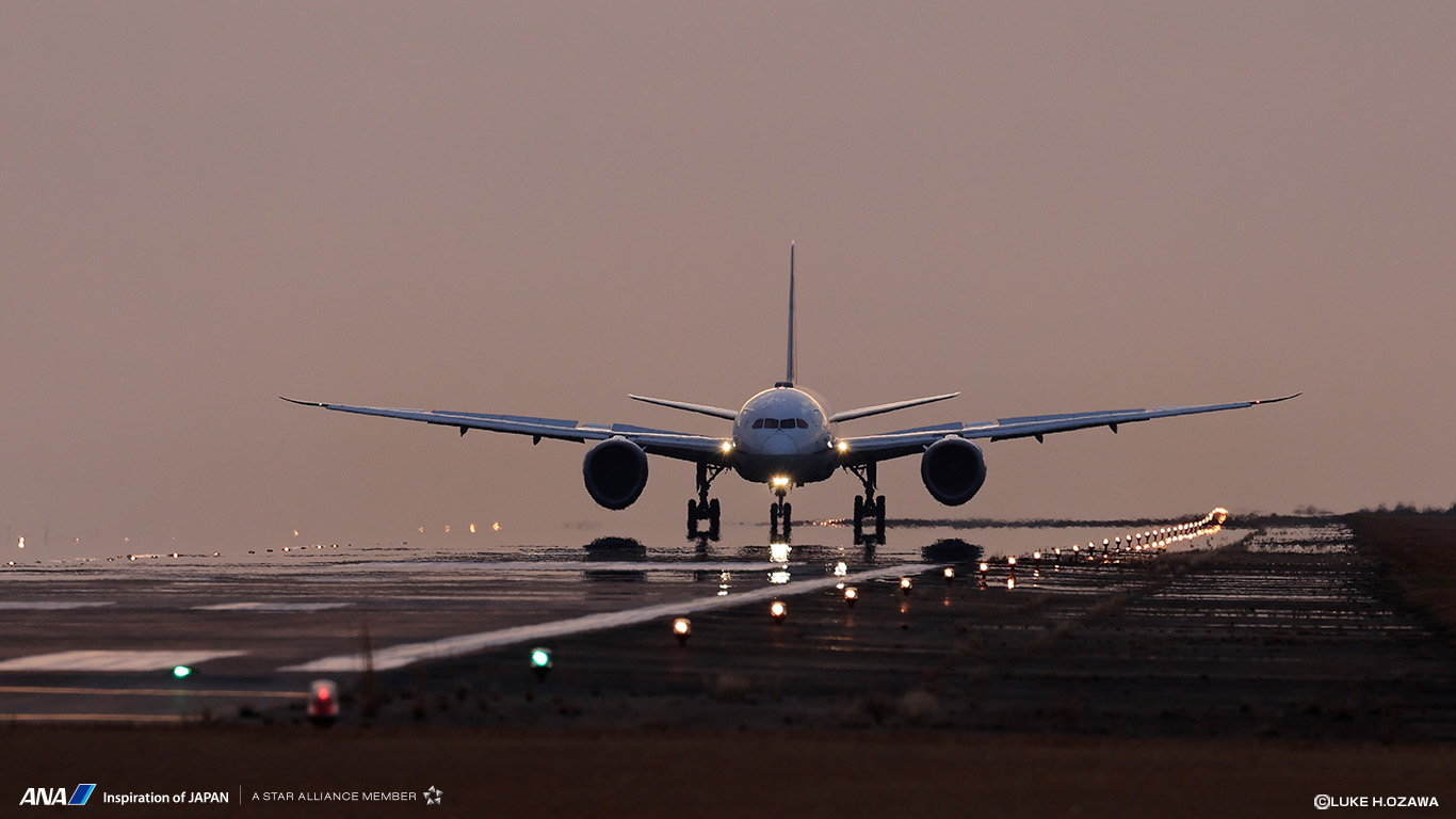 Download Wallpapers|ANA