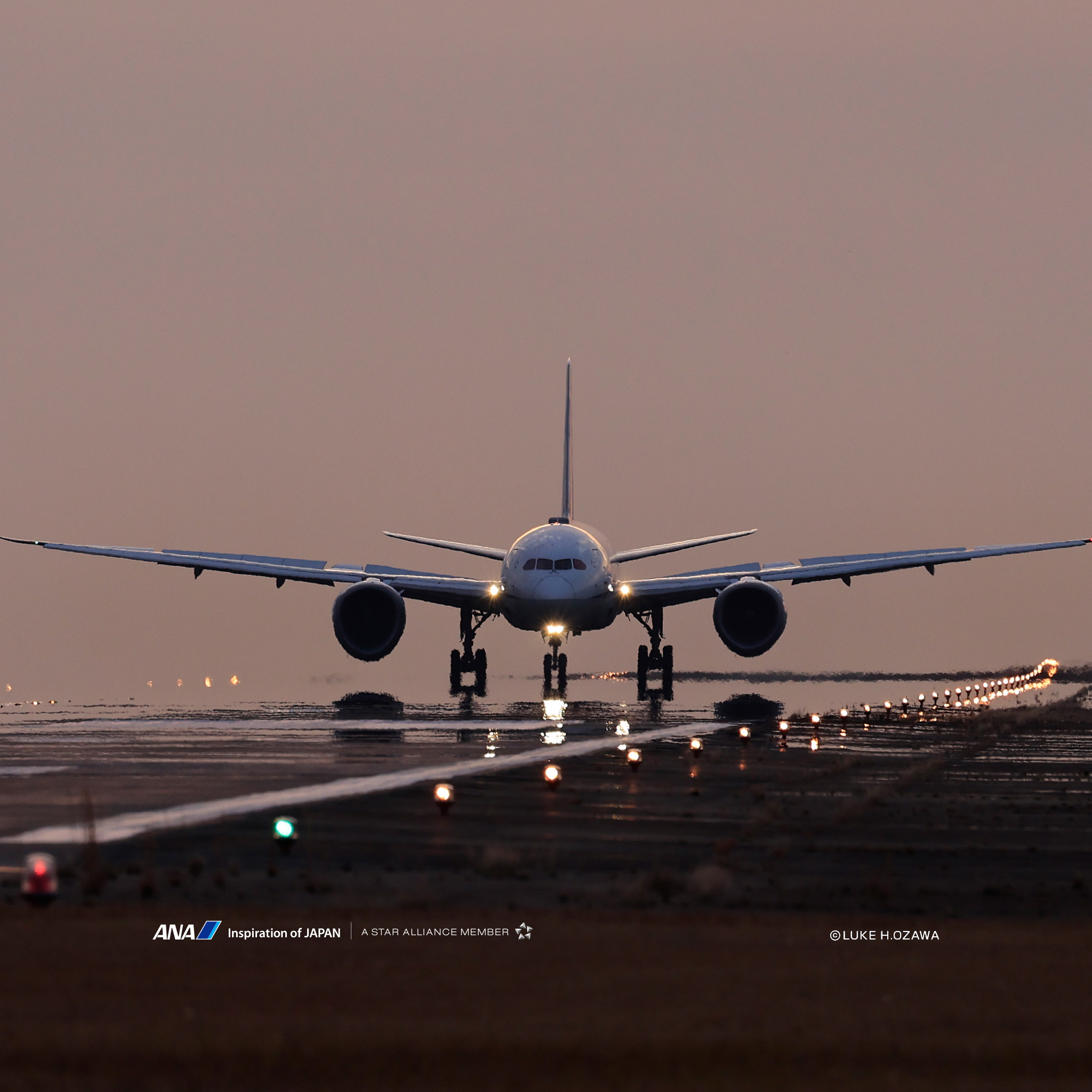 Download Wallpapers|ANA