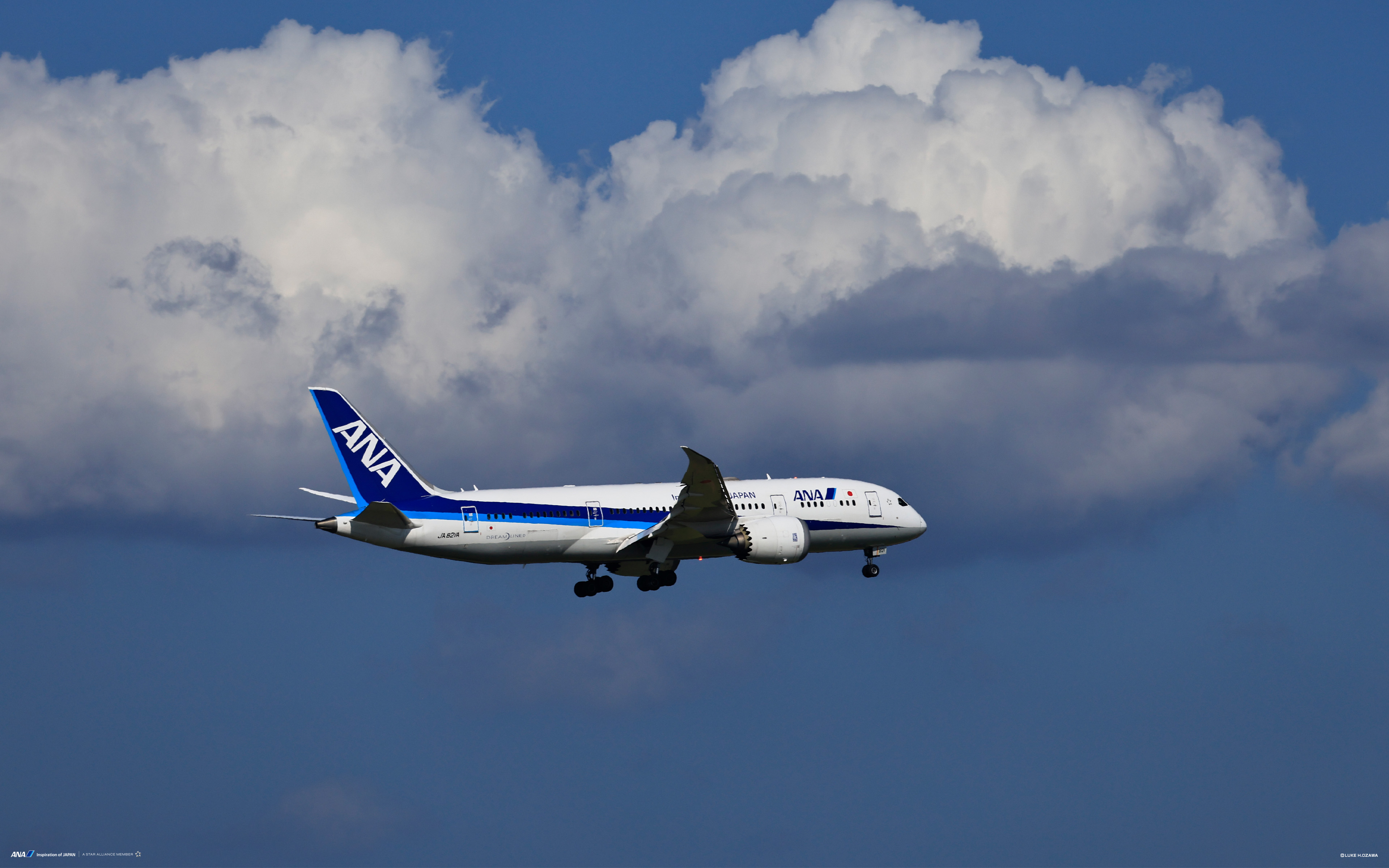 Download Wallpapers|ANA