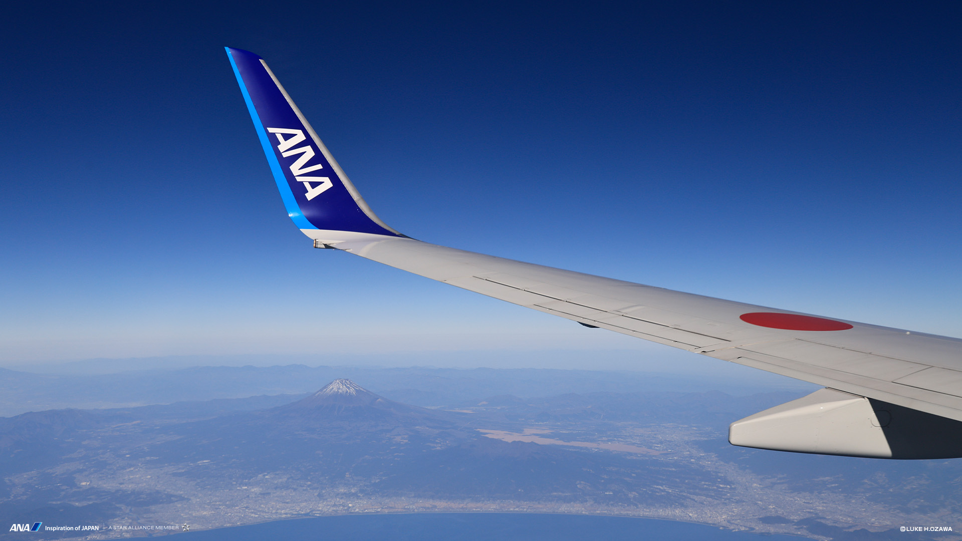 Download Wallpapers|ANA