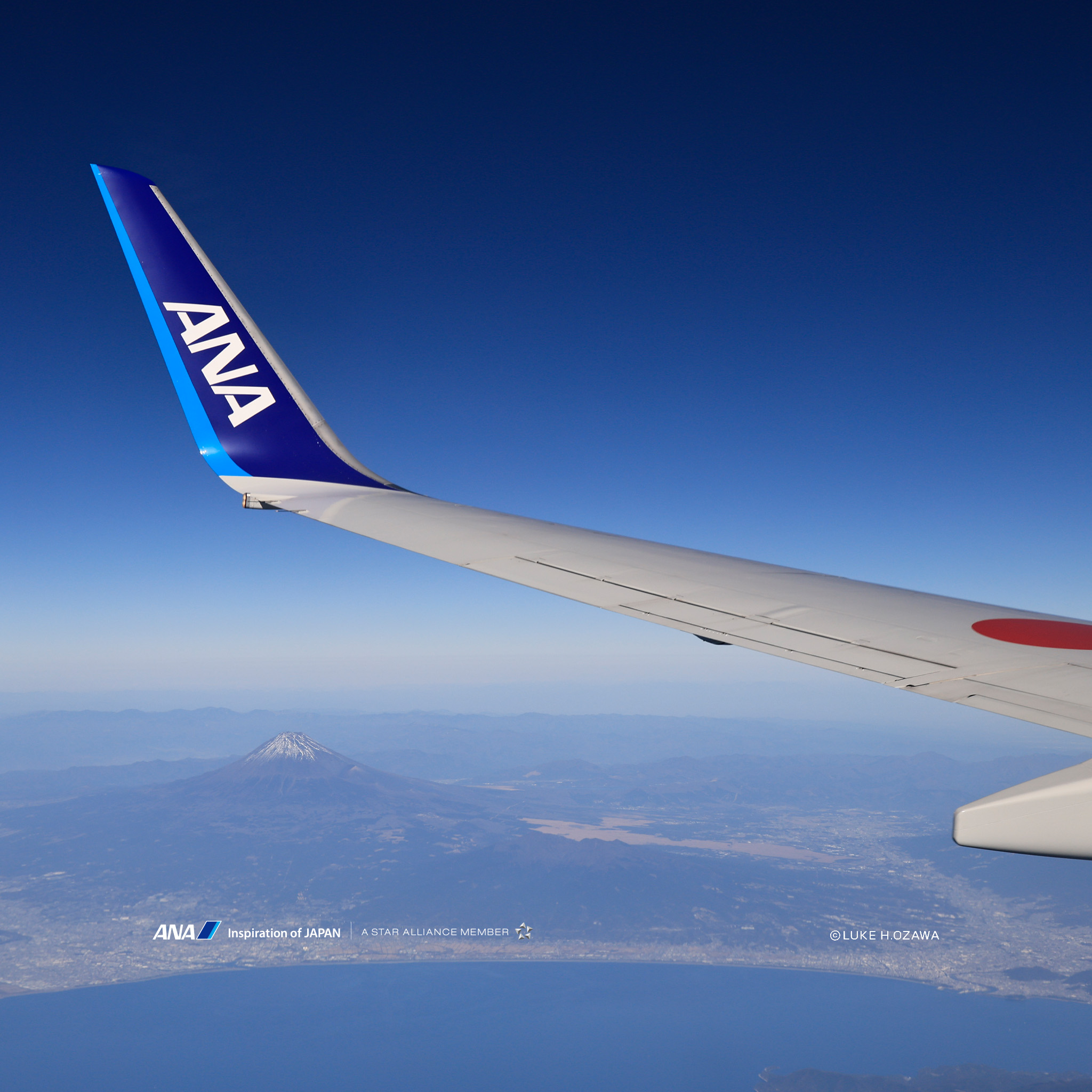 Download Wallpapers|ANA