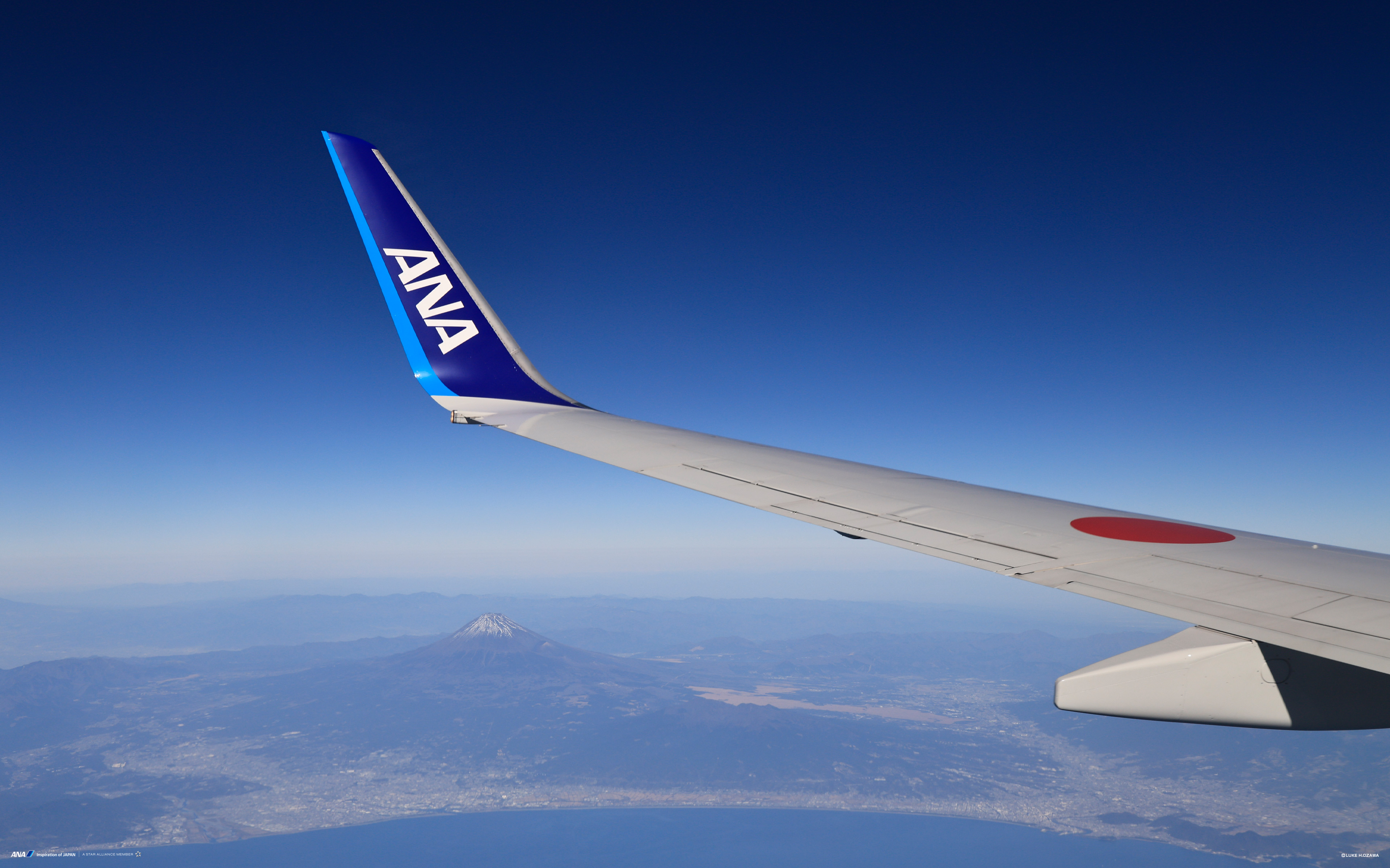 Download Wallpapers|ANA