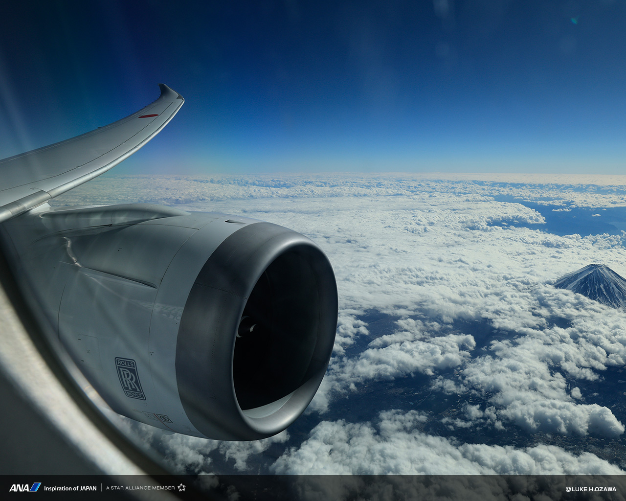 Download Wallpapers|ANA