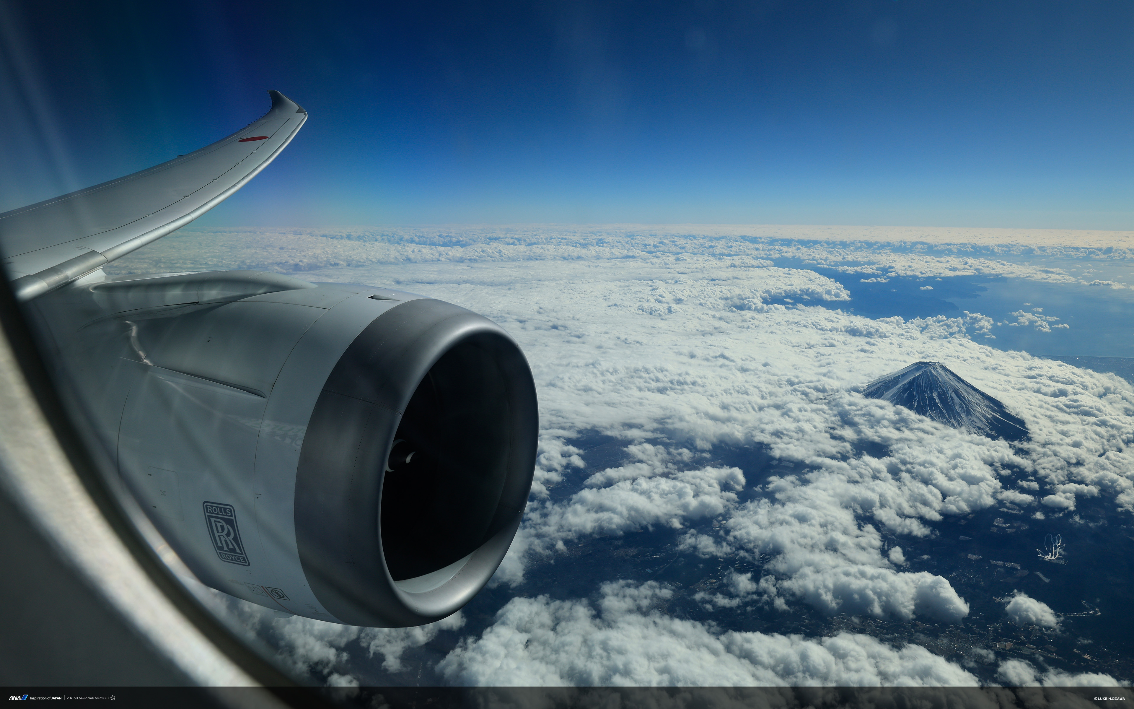 ANA Original Wallpaper | Download Wallpapers | Other | The ANA ...