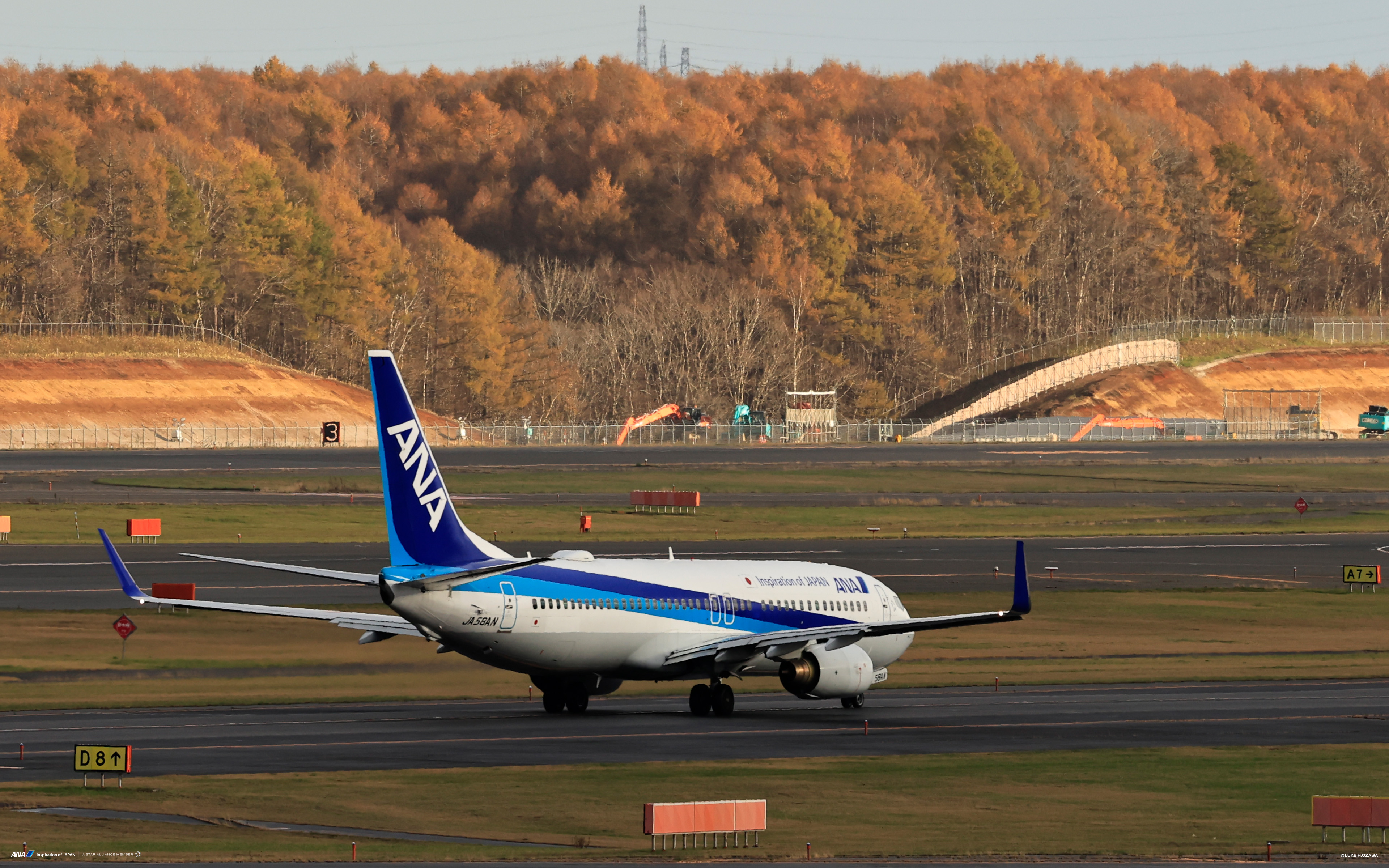 ANA Original Wallpaper | Download Wallpapers | Other | The ANA ...