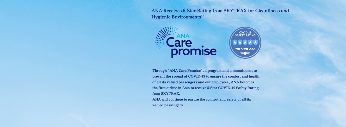 ANA SKY WEB - ANA Domestic Reservation