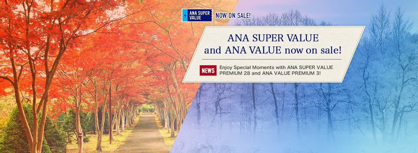 ANA SKY WEB - ANA Domestic Reservation