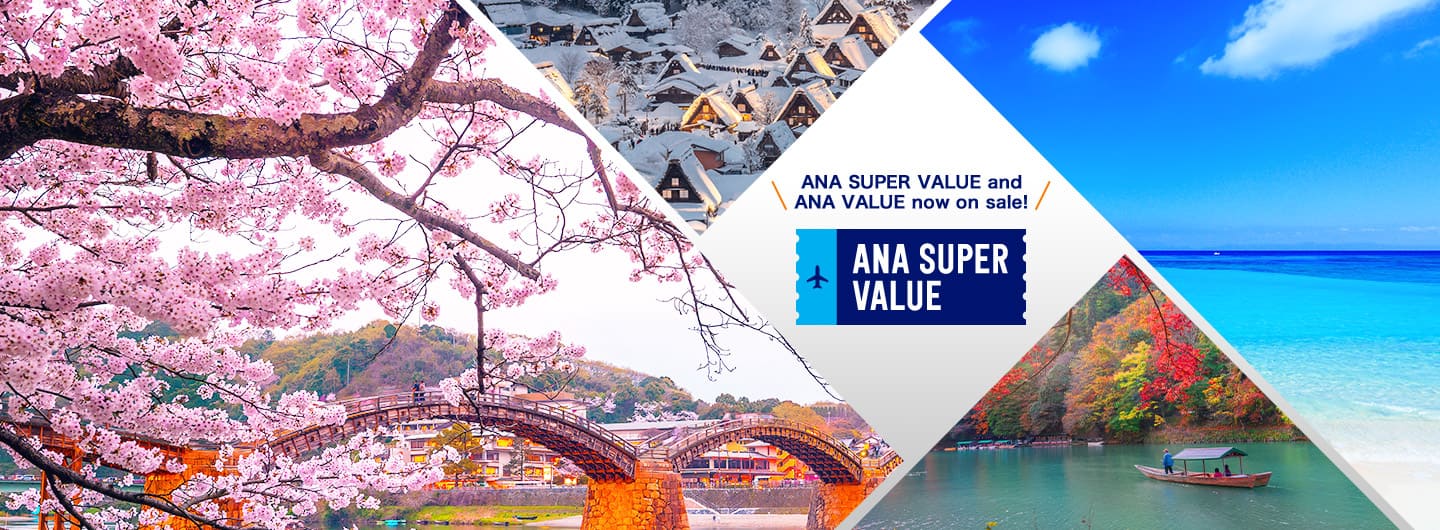 ANA SKY WEB - ANA Domestic Reservation