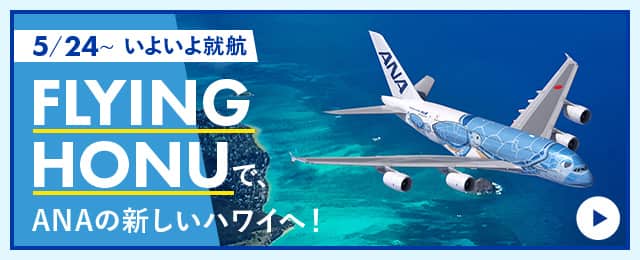 ANAトラベルニュース