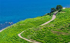 ANAトラベルニュース