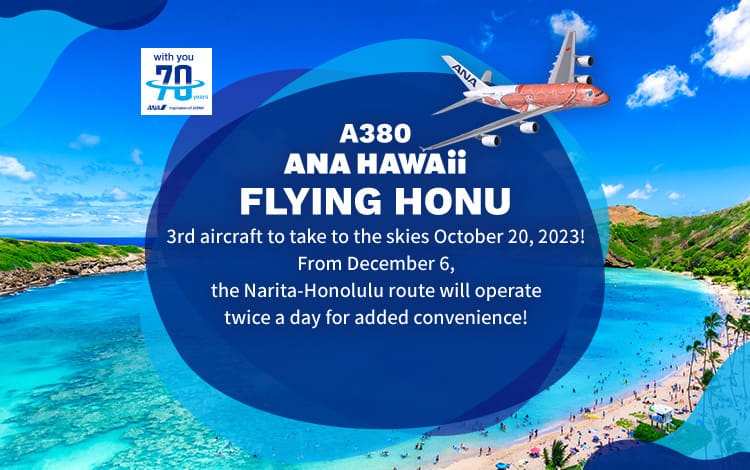 International Flights and Tickets Reservation|ANA