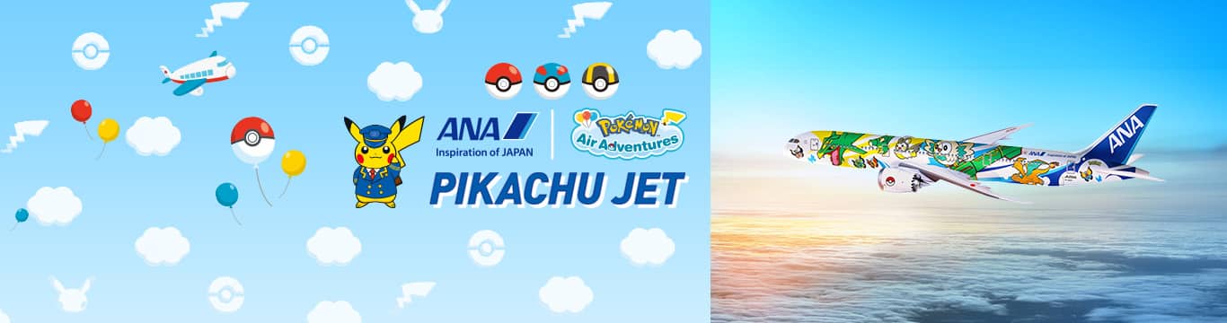 International Flights and Tickets Reservation|ANA