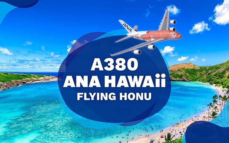 Flights and Airline Tickets, Travel Deals|ANA