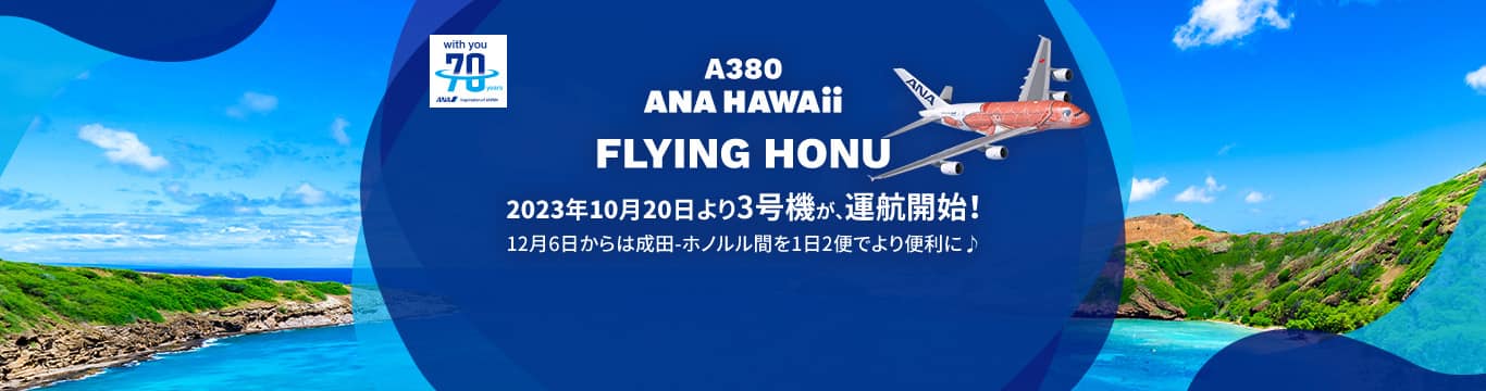 International Flights and Tickets Reservation|ANA