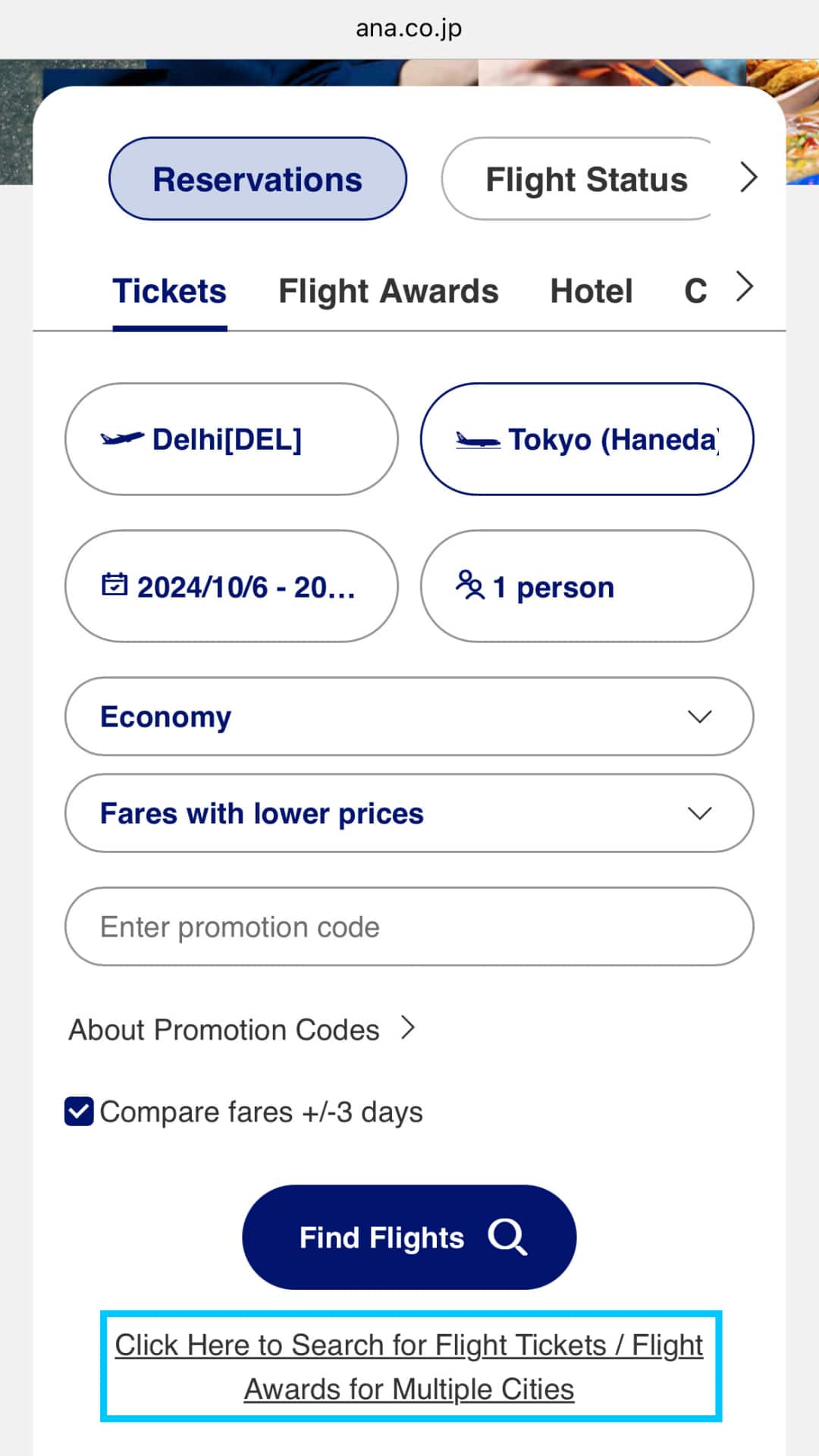 Enjoy Japan Domestic Flights with ANA! | Promotions | Plan | Plan and ...