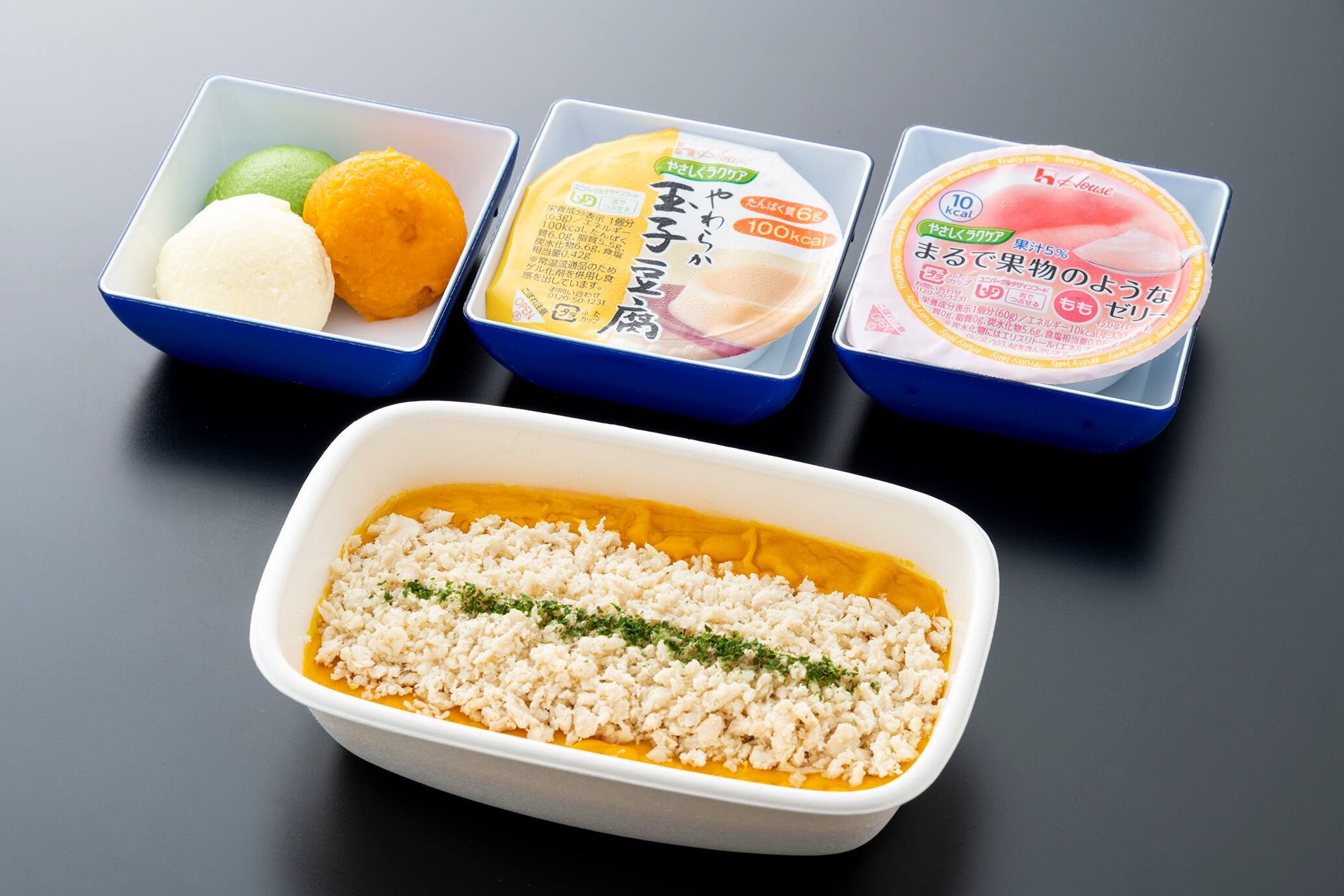Dietary Meals | In-Flight Dining/ Drinks | In-Flight | Travel ...