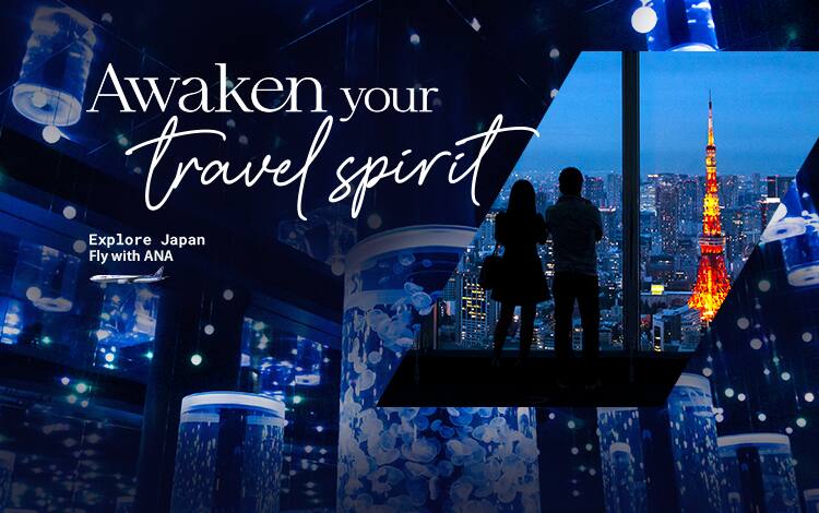 Book International Air Tickets with 5-Star Airline - ANA | ANA